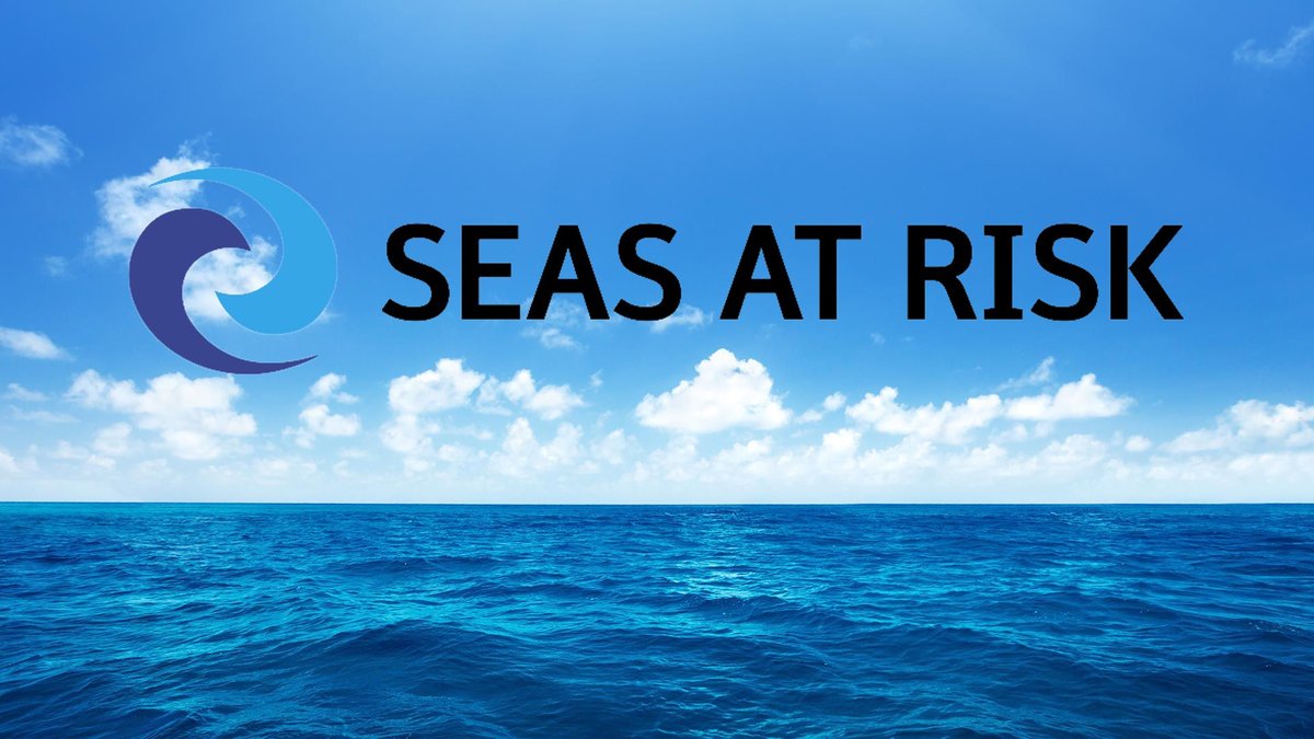 A Seat for the Sea > Voices > Seas At Risk